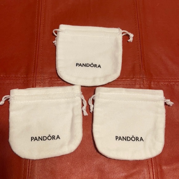 Accessories | Pandora Pouch 3 | Poshmark